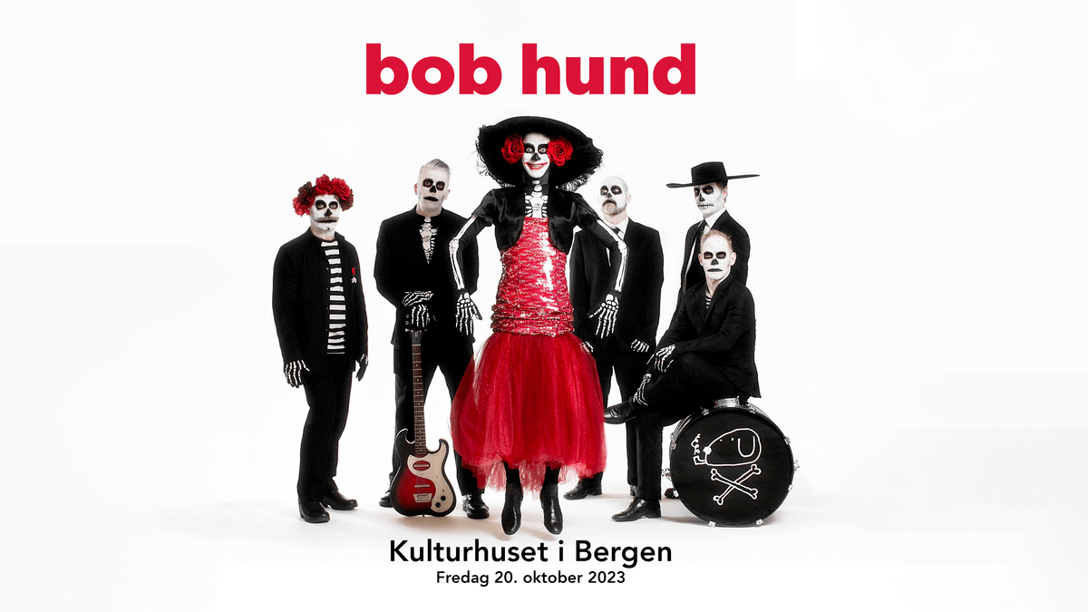 bob hund, 20.10.2023 - Bergen Live